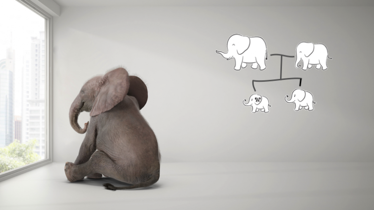 How to Create your 3D Family Tree from Scratch - Clanview